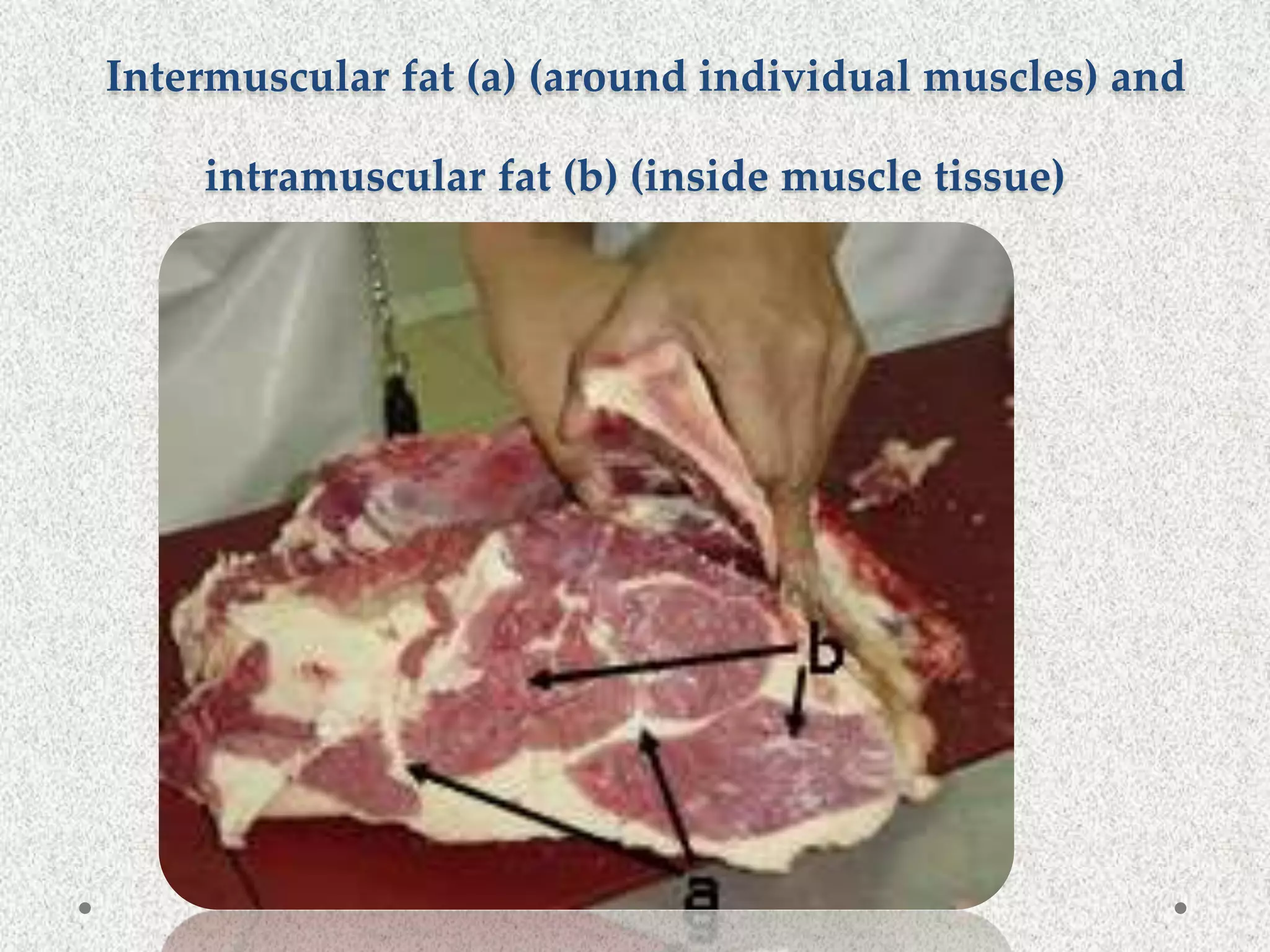 Animal fat process final ppt. | PPTX | Chemistry | Science
