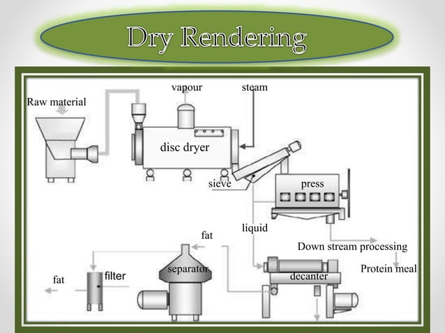 Animal fat process final ppt. | PPTX | Chemistry | Science