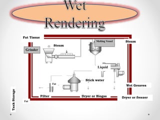 Animal fat process final ppt. | PPTX