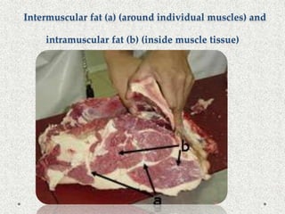 Animal fat process final ppt. | PPTX