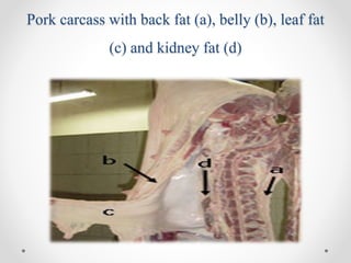Animal fat process final ppt. | PPTX