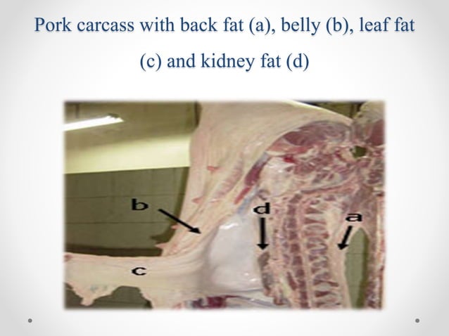 Animal fat process final ppt. | PPTX | Chemistry | Science