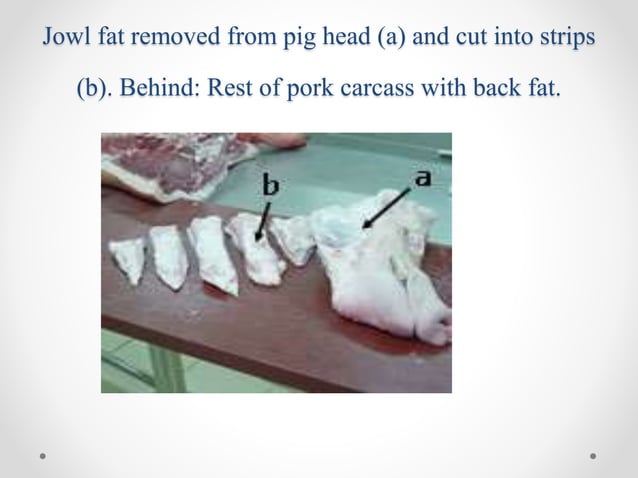 Animal fat process final ppt. | PPTX | Chemistry | Science