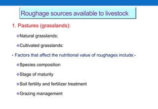 Animal Feed and Nutrition (Ch3).pptx