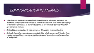 Animal Feeding Behaviour Migration and communication.pptx