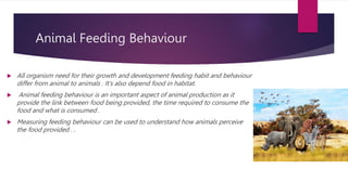 Animal Feeding Behaviour Migration and communication.pptx