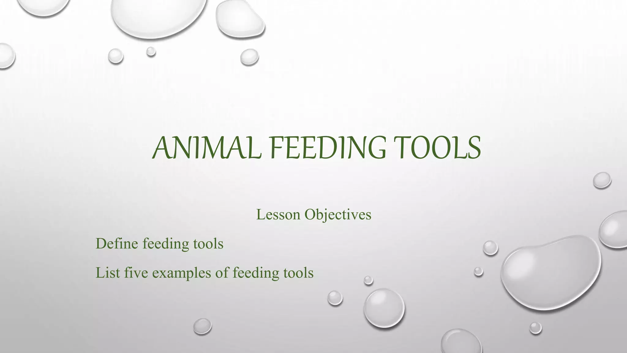 Animal Feeding Tools.pptx