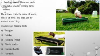 Animal Feeding Tools.pptx