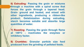 Animal Feed Technology.pptx | Agriculture | Industries