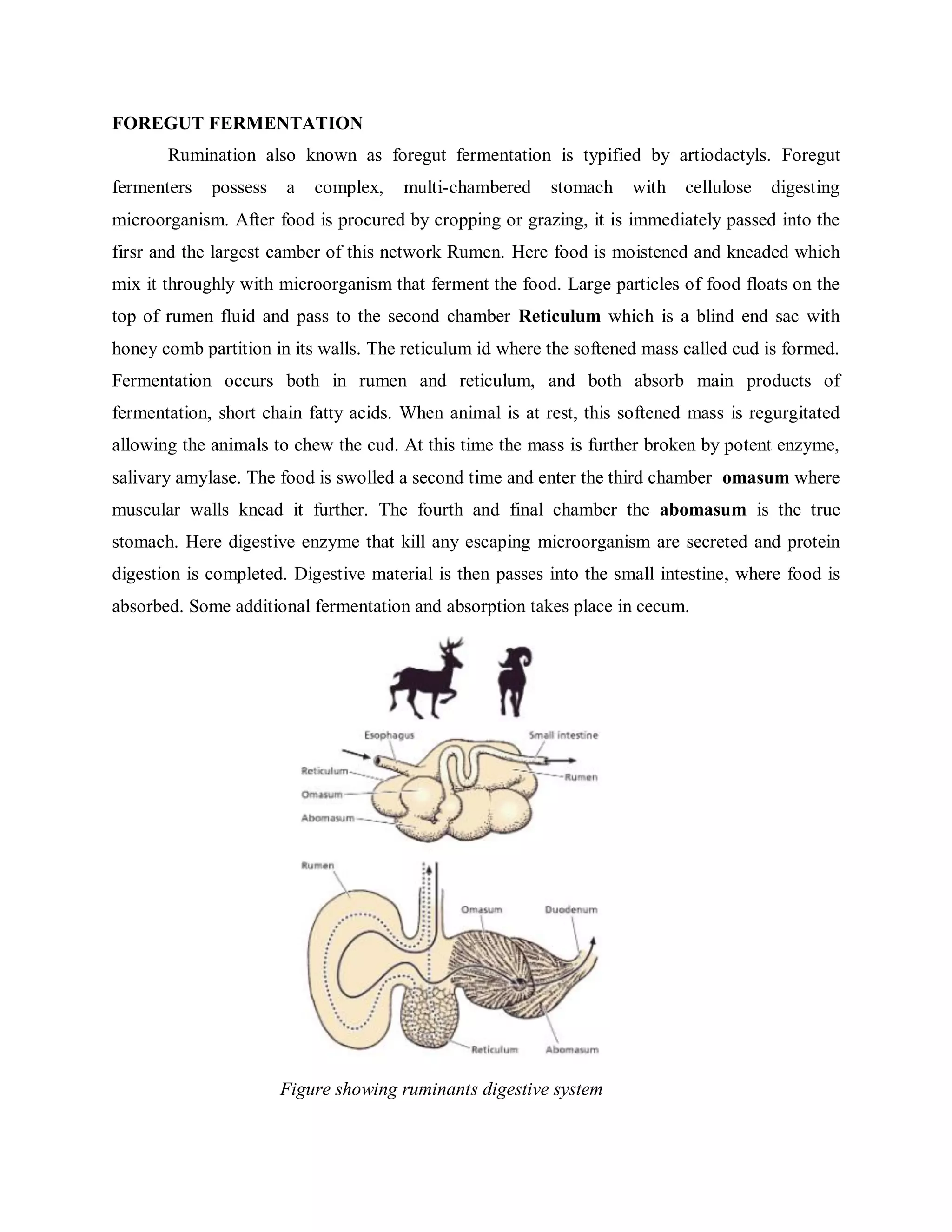animal_fermenters.pdf