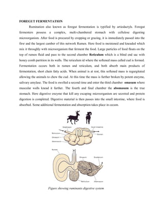 animal_fermenters.pdf