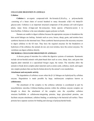 animal_fermenters.pdf