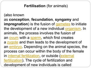 Animal fertilization | PPTX