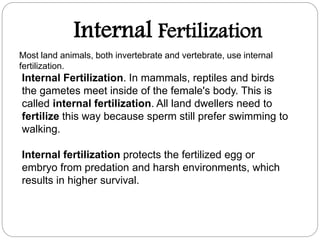 Internal Fertilization