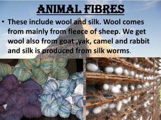 Animal fibres | PPTX