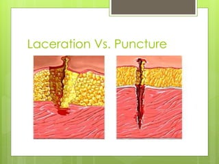 Animal first aid part 1 | PPTX