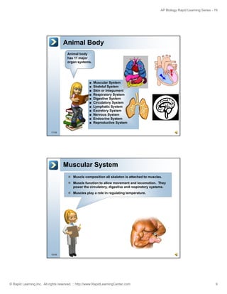 Animal form | PDF