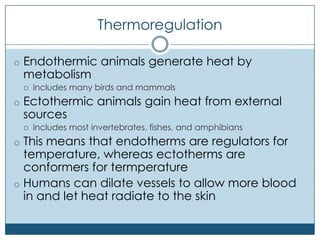 Animal form and function | PPTX
