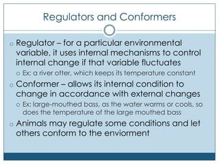 Animal form and function | PPTX