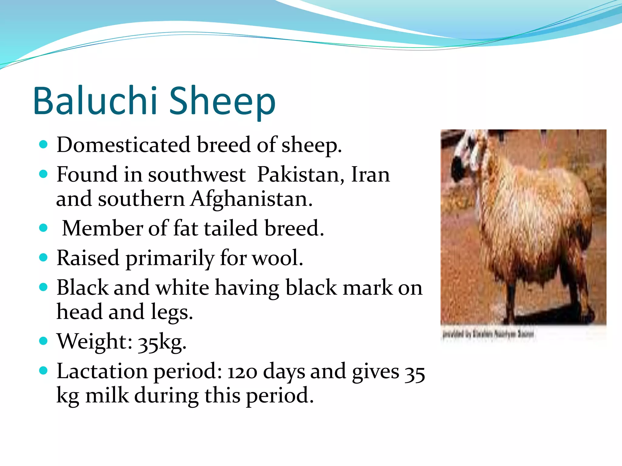 Animal farming in pakistan | PPTX