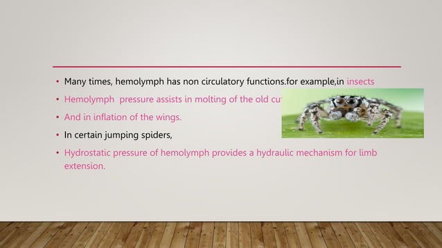 Animal forms | PPT