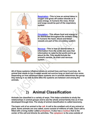 Animal functions | PDF
