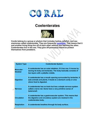 Animal functions | PDF