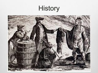 Animal fur trade | PPTX