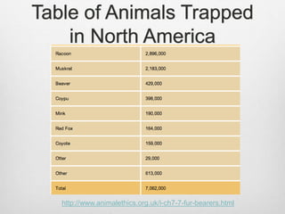 Animal fur trade | PPTX