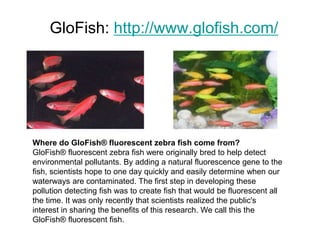 Animal Genetic Engineering 110816.ppt