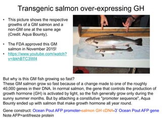 Animal Genetic Engineering 110816.ppt