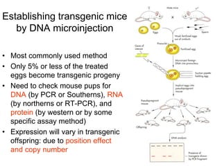 Animal Genetic Engineering 110816.ppt
