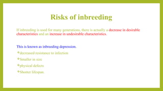 Animal genetics, breeding and reproduction.pptx