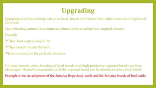 Animal genetics, breeding and reproduction.pptx