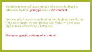 Animal genetics, breeding and reproduction.pptx