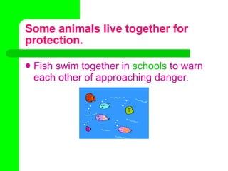 Animalgroups | PPT