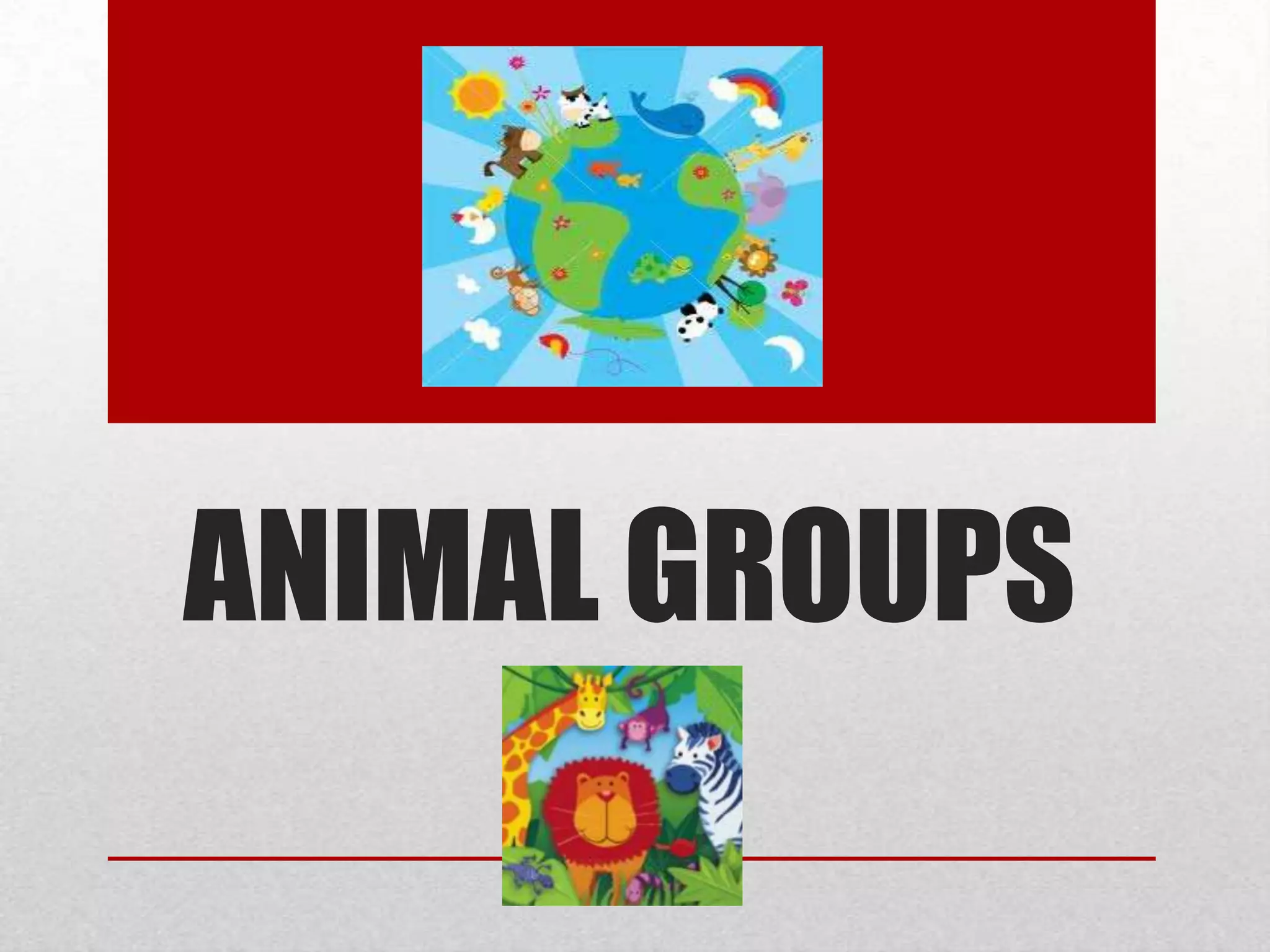 Animal groups | PPTX | Reptiles | Pets