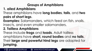 ANIMAL GROUPS-REPTILES,AMPHIBIANS,BIRDS,MAMMALS,INSECTS, AND FISH.pptx