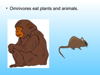 Animal groups by_food | PPT