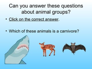 Animal groups by_food | PPT | Vegetarian Diets | Food & Drink