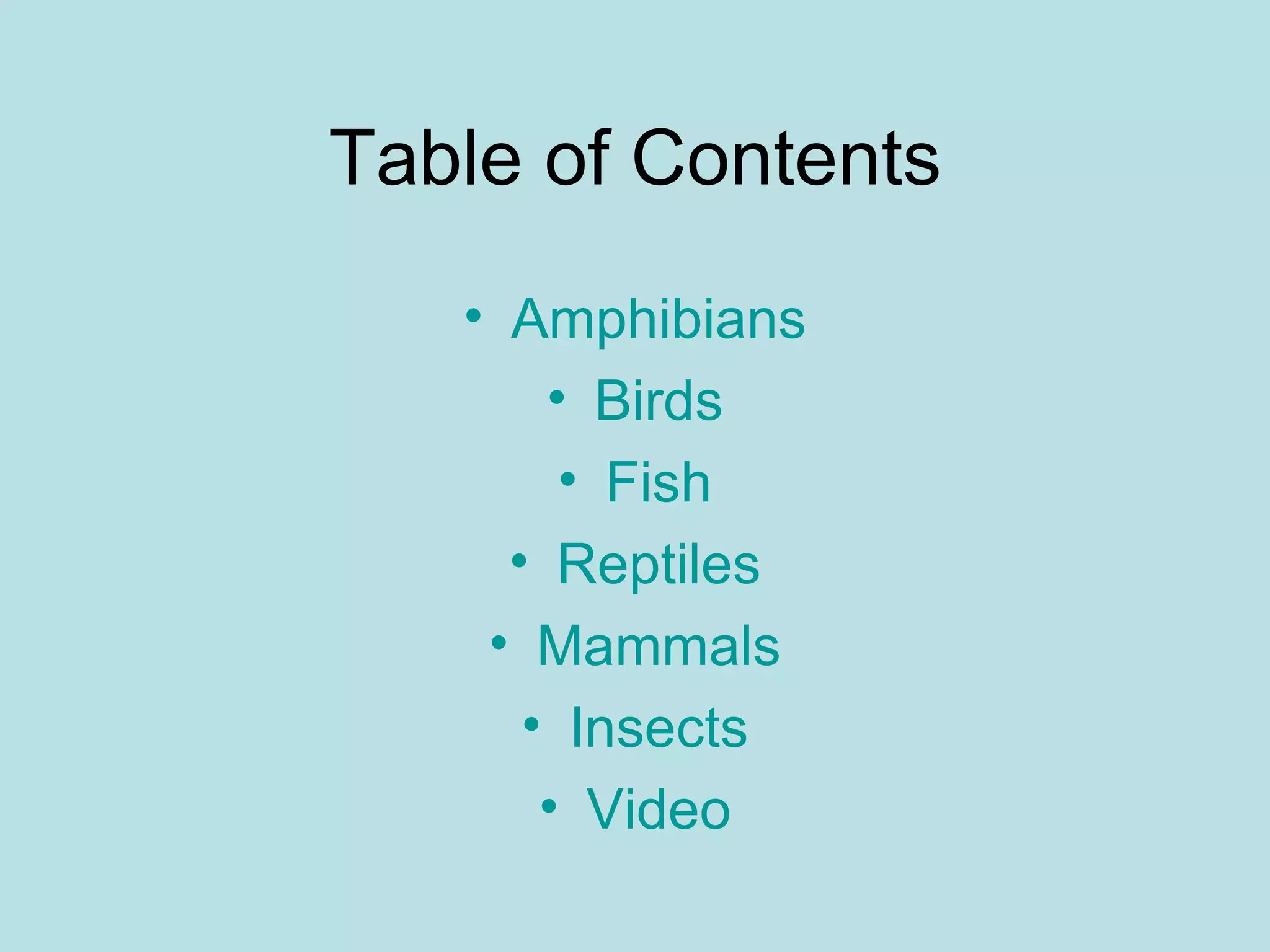 Animal Groups Ppt | PPT