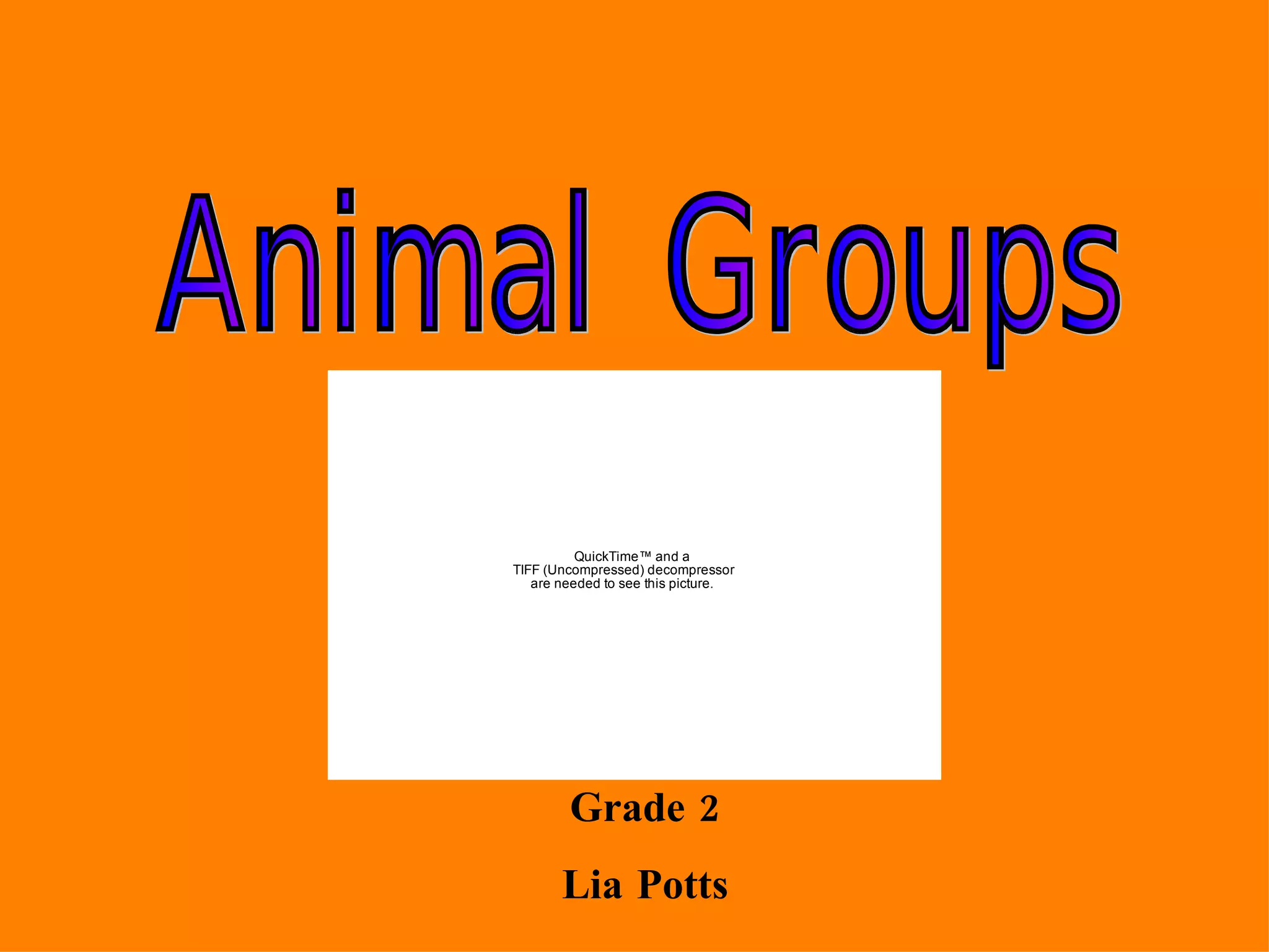 Animal Groups PPT | PPT