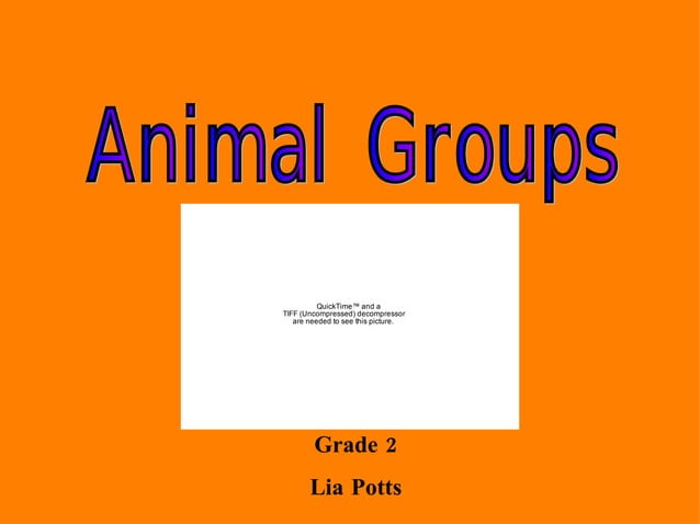 Animal Groups PPT | PPT