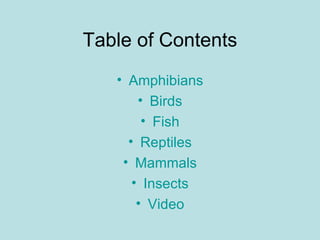 Animal Groups PPT | PPT