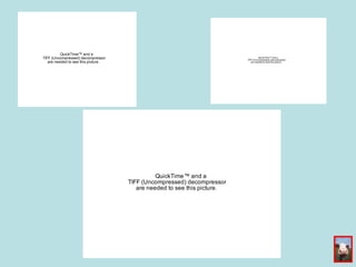 Animal Groups PPT | PPT