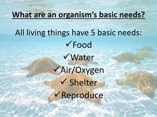 Animal growth and adaptations | PPT