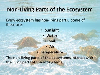 Animal growth and adaptations | PPT