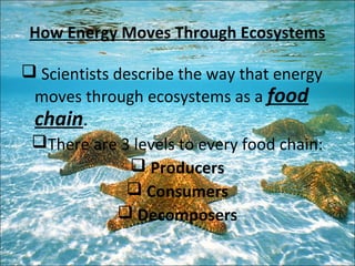 ECOSYSTEMS | PPT