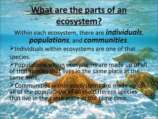 ECOSYSTEMS | PPT