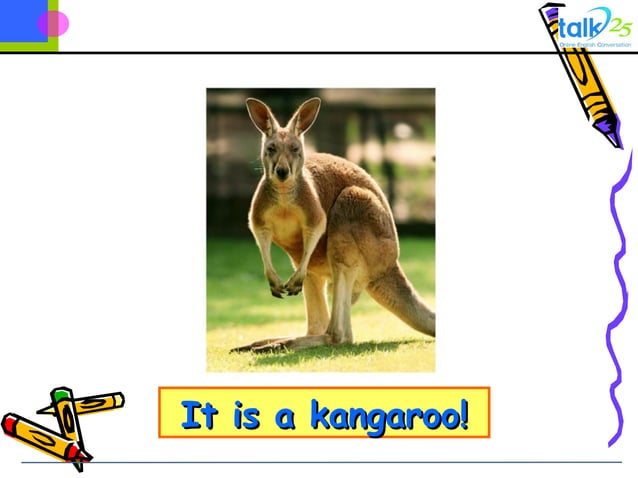 Animal guessing game | PPT